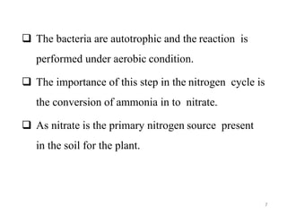 Nitrification process | PPTX