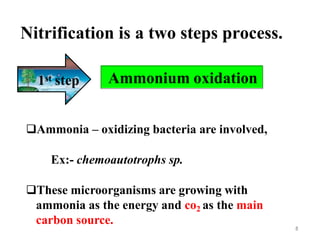 Nitrification process | PPTX