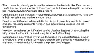 Nitrification and de nitrification | PPTX