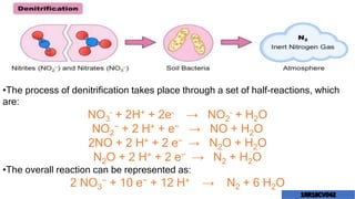 Nitrification and de nitrification | PPTX