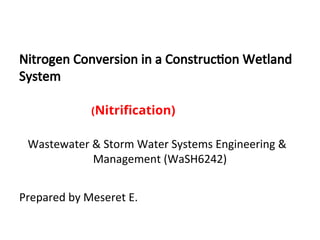 Nitrification process one presentation.ppt