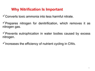 Nitrification process one presentation.ppt