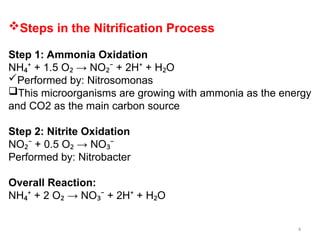 Nitrification process one presentation.ppt