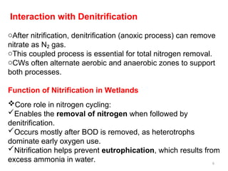 Nitrification process one presentation.ppt