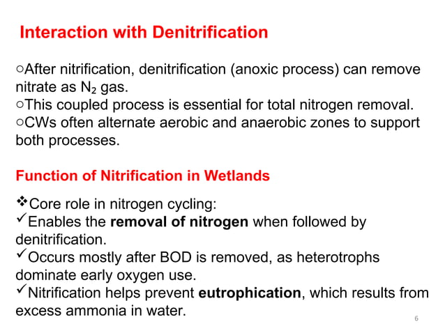 Nitrification process one presentation.ppt