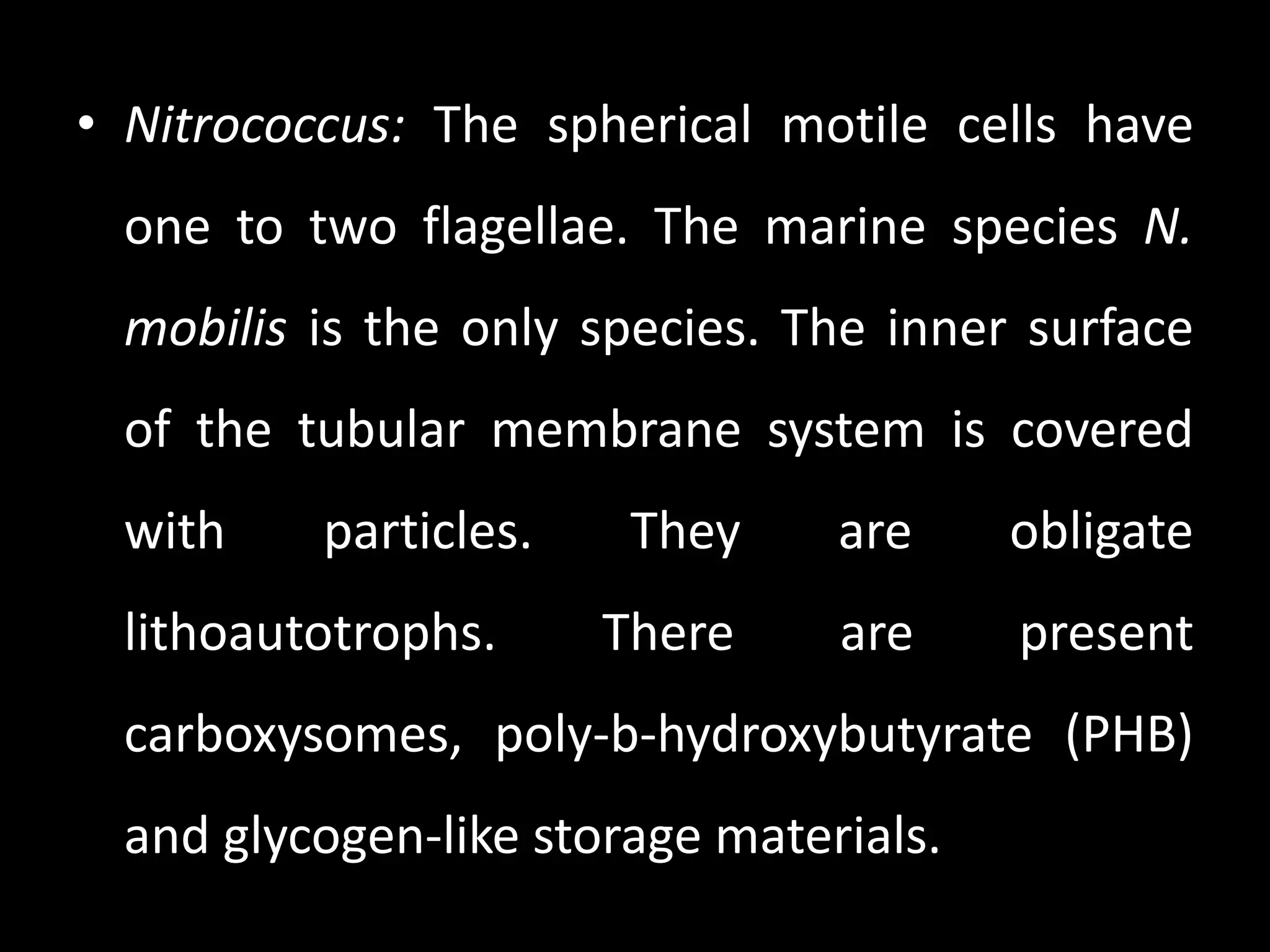 Nitrobacteriaceae | PPTX