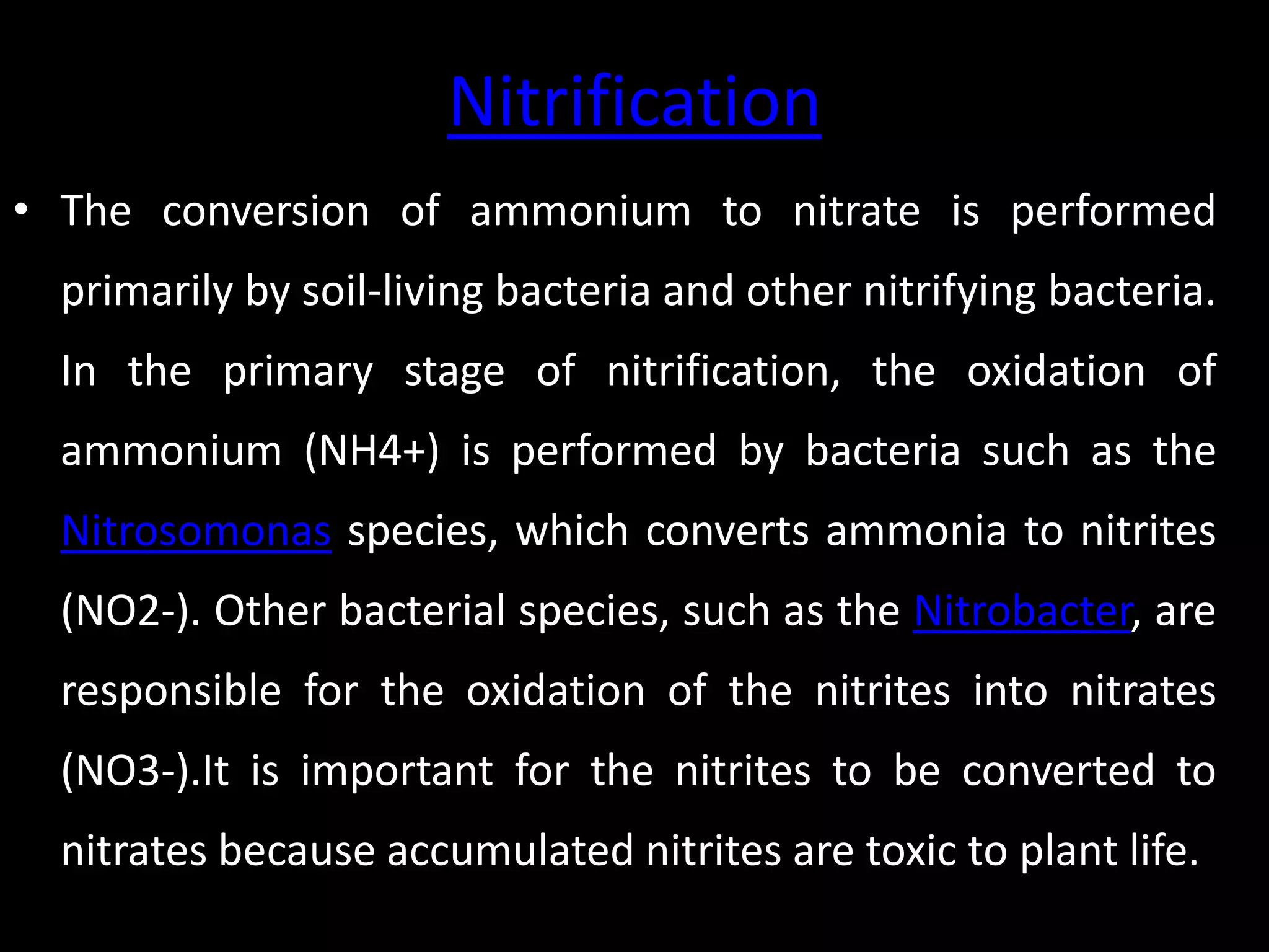 Nitrobacteriaceae | PPTX