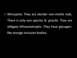 Nitrobacteriaceae | PPTX