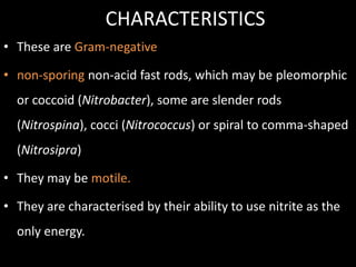 Nitrobacteriaceae | PPTX