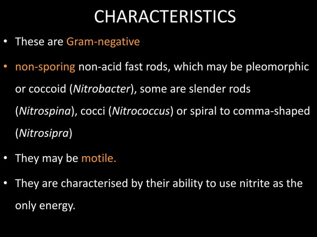 Nitrobacteriaceae | PPTX