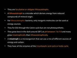 Nitrobacteriaceae | PPTX