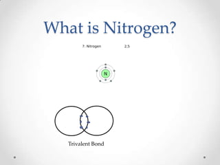 Nitrogen Project | PPTX