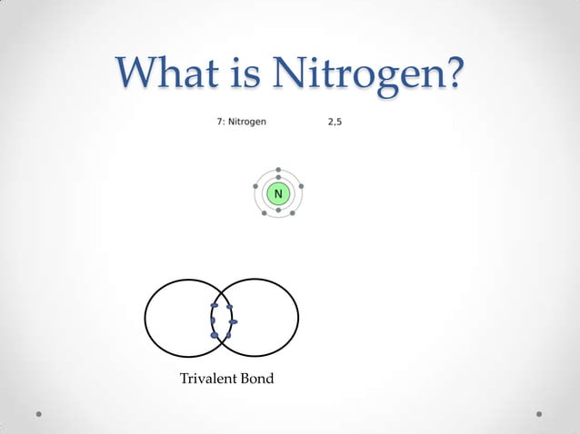 Nitrogen Project | PPTX