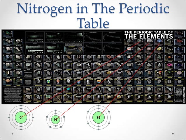 Nitrogen Project | PPT