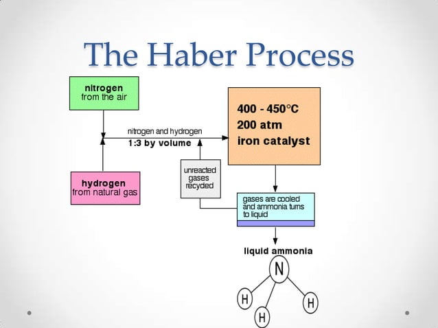 Nitrogen Project | PPT