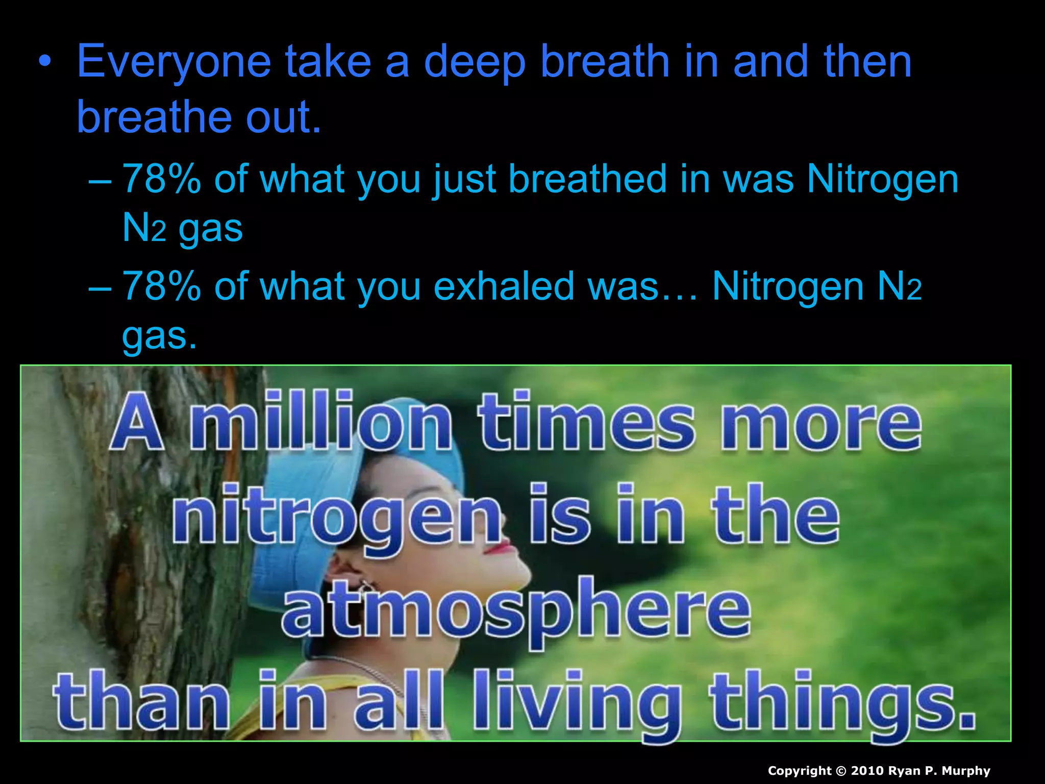 Nitrogen Cycle Lesson PowerPoint, Environment, Ecosystem ...