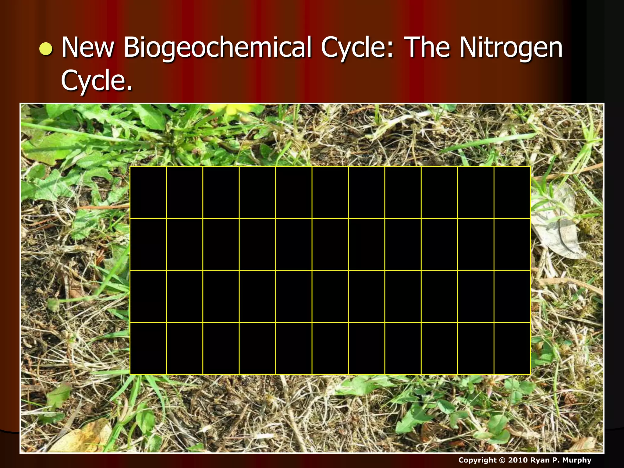Nitrogen Cycle Lesson PowerPoint, Environment, Ecosystem ...