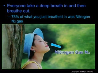 Nitrogen Cycle Lesson PowerPoint, Environment, Ecosystem ...