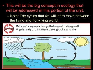 Nitrogen Cycle Lesson PowerPoint, Environment, Ecosystem ...