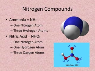 Nitrogen | PPTX