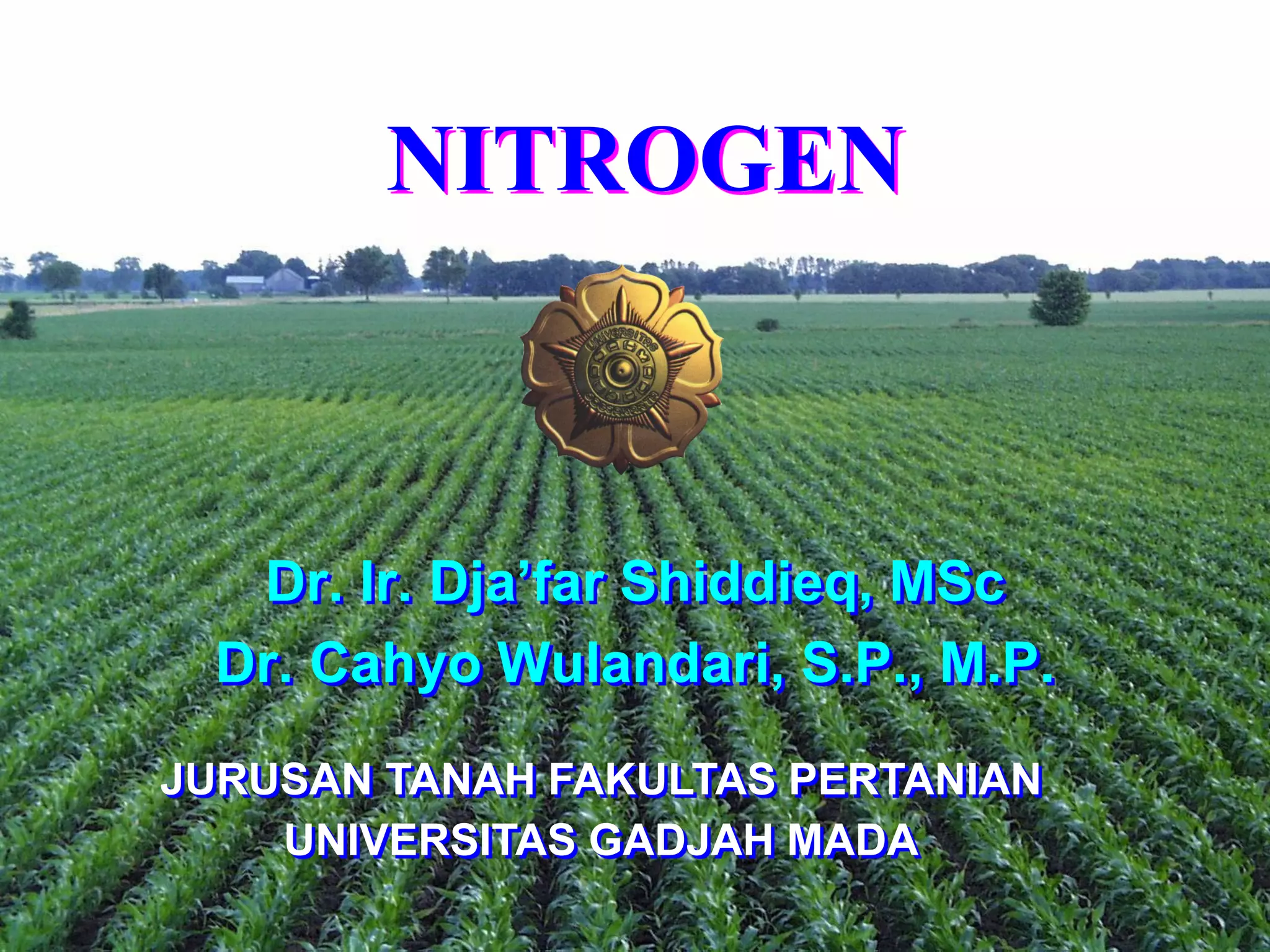 Nitrogen | PDF