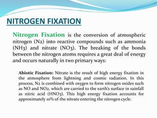 Nitrogen Cycle | PPTX