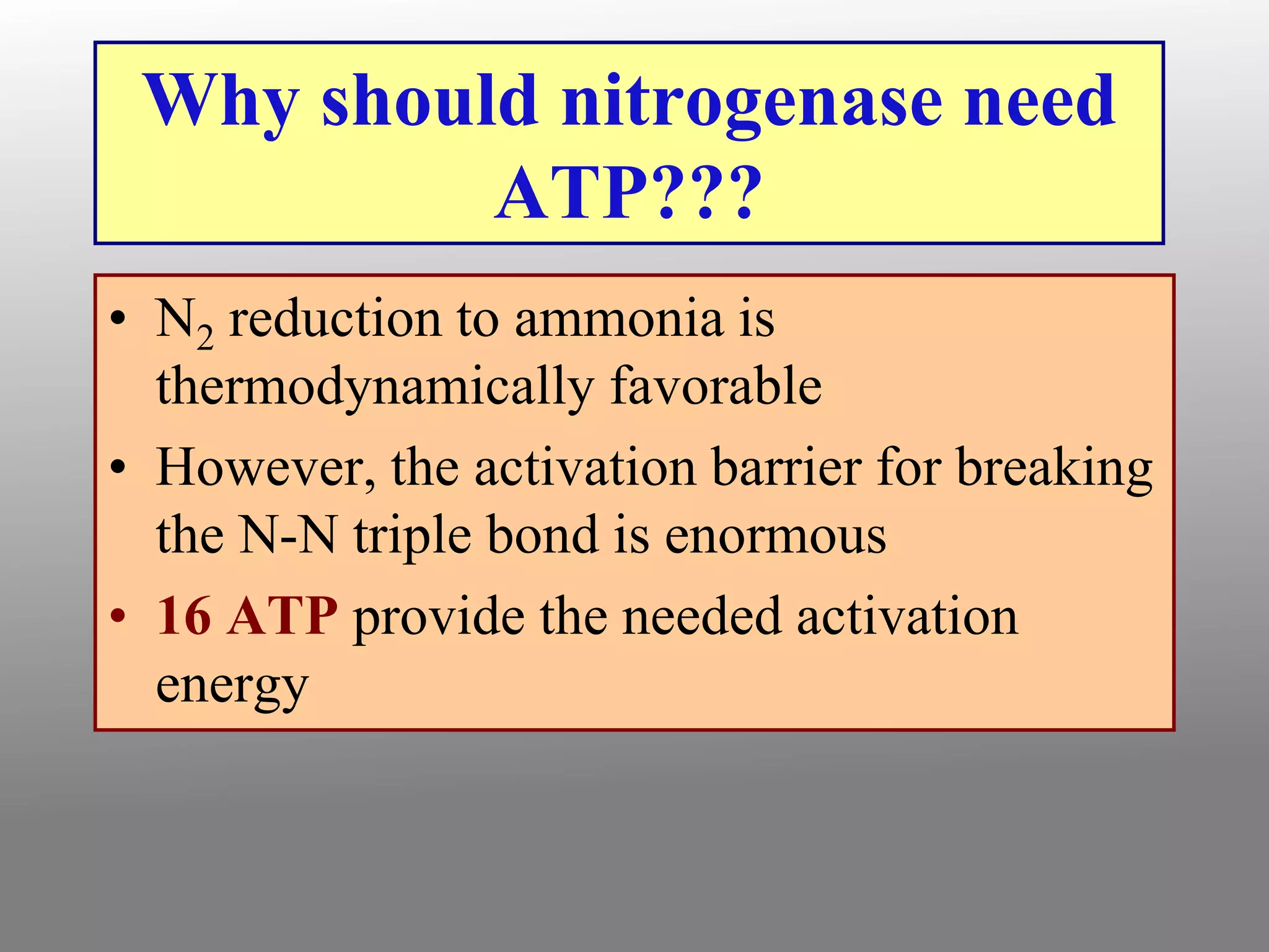 nitrogen.ppt