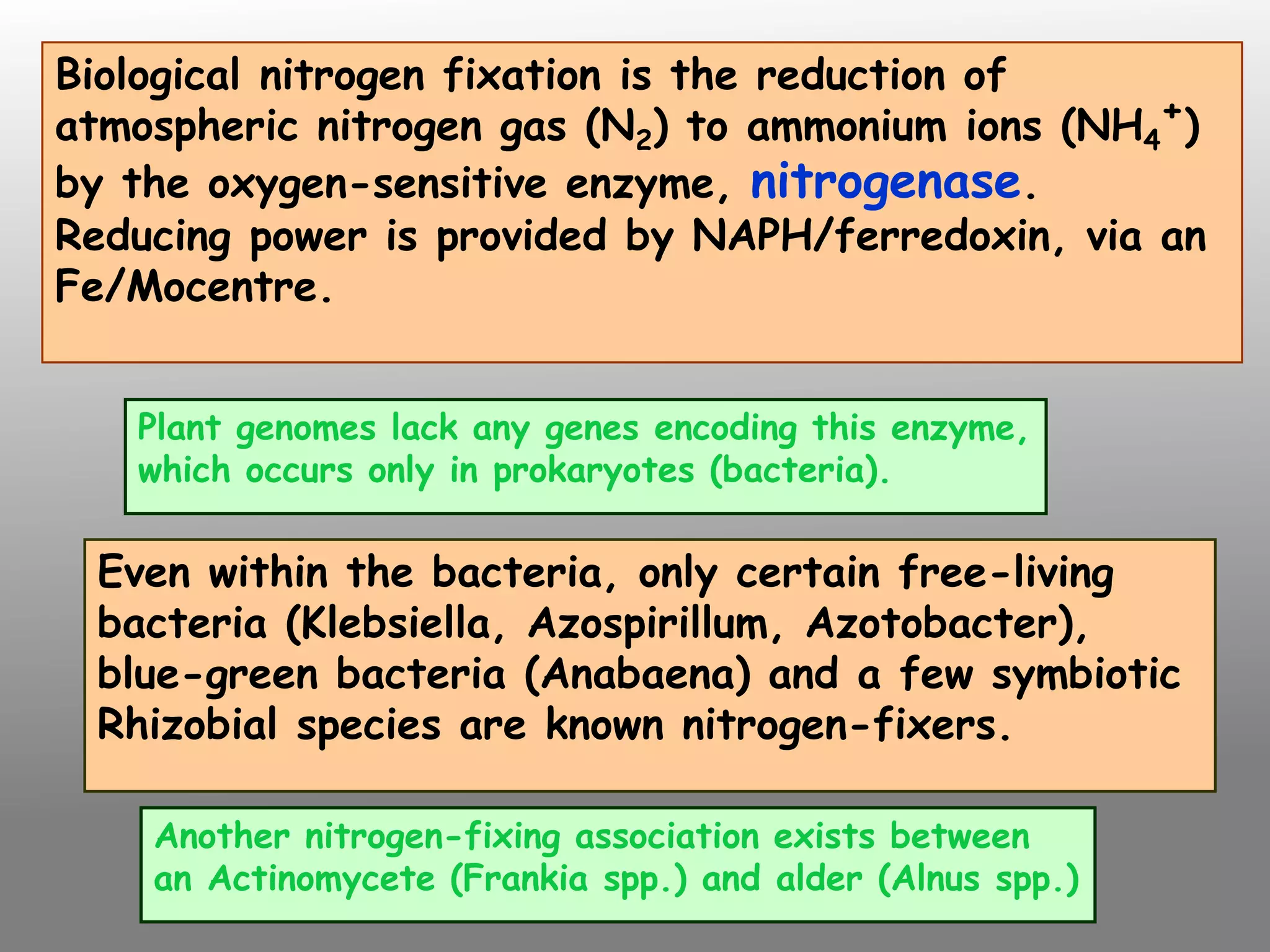 nitrogen.ppt