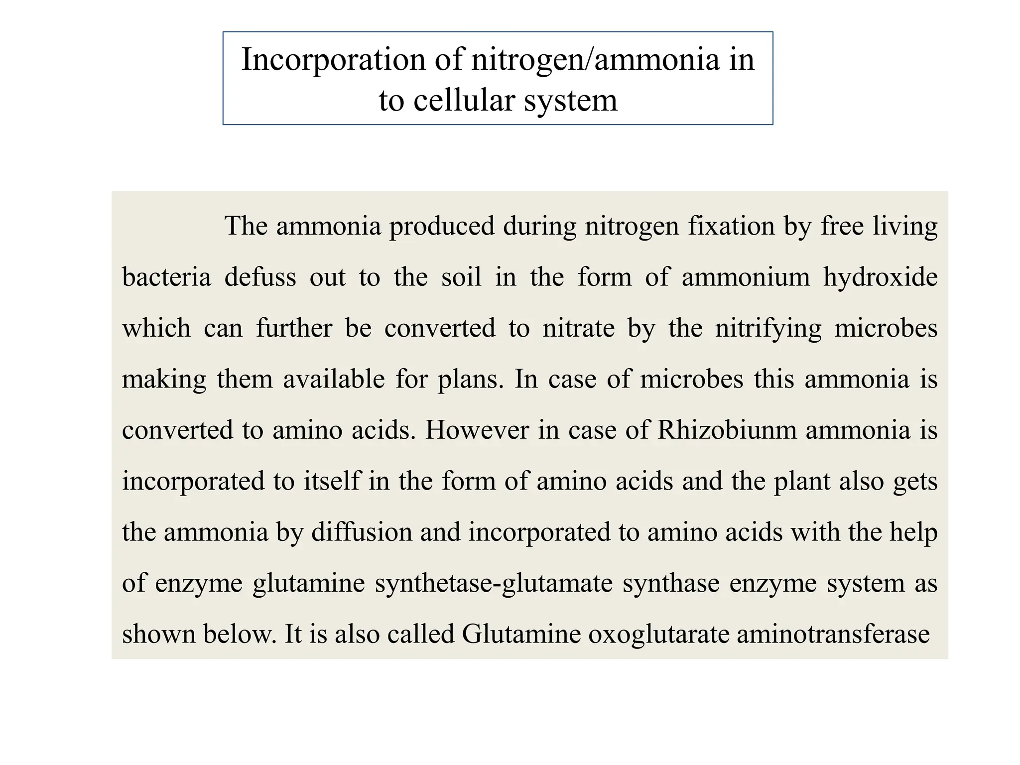 nitrogen cycle and biological nitrogen fixation | PPTX