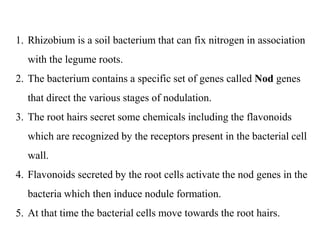 nitrogen cycle and biological nitrogen fixation | PPT
