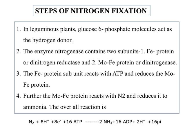 nitrogen cycle and biological nitrogen fixation | PPT