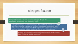Nitrogen fixation-1 | PPT