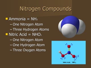 Nitrogen Powerpoint | PPT