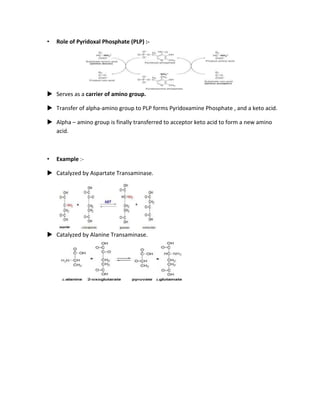 NITROGEN ASSIMILATION | DOCX