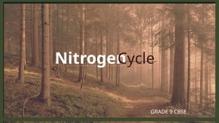 Nitrogen cycle grade 9 cbse - eutrophication | PPTX