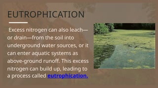 Nitrogen cycle grade 9 cbse - eutrophication | PPTX