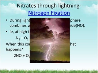 Nitrogen and nitrogen cycle | PPTX