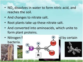 Nitrogen and nitrogen cycle | PPTX