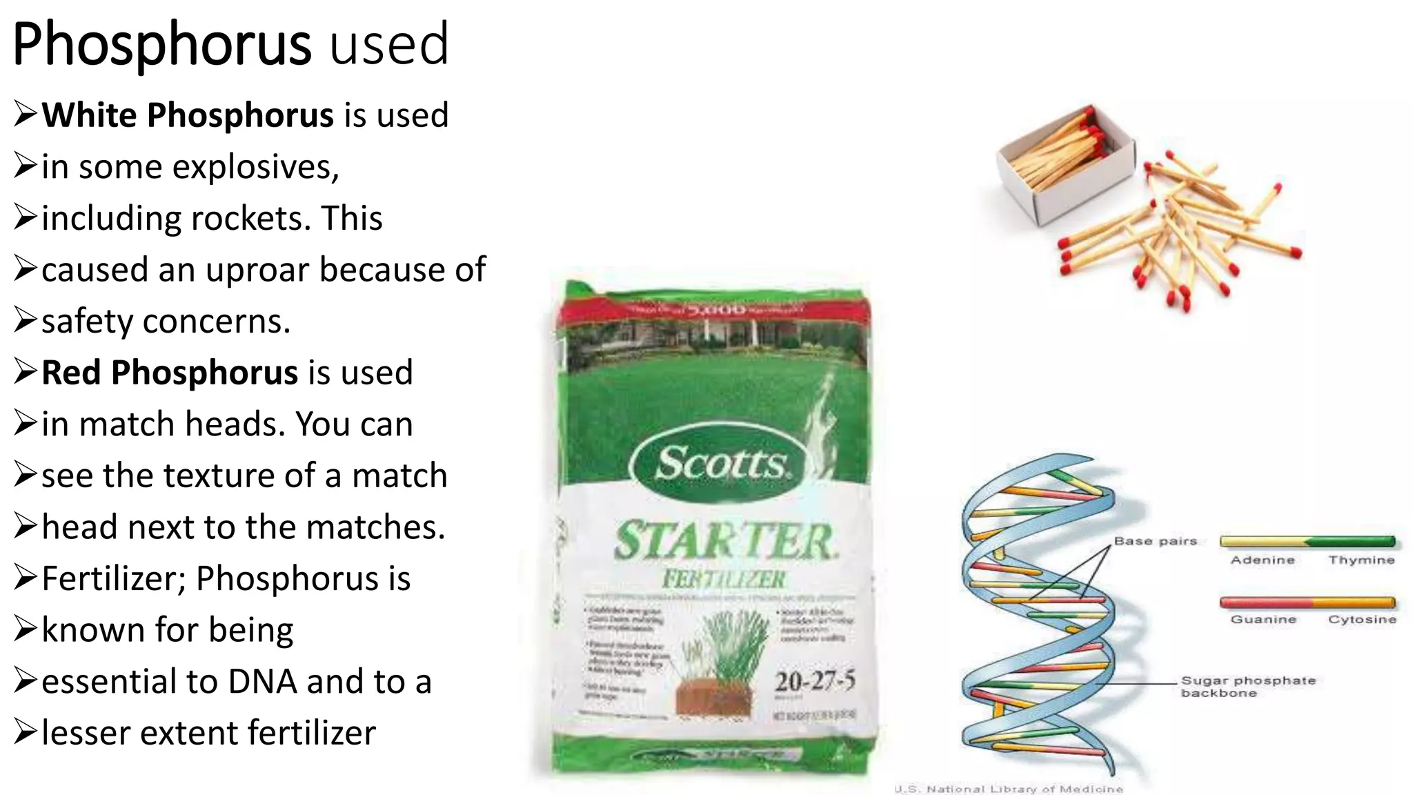 Nitrogen and phosphorous cycle | PPTX