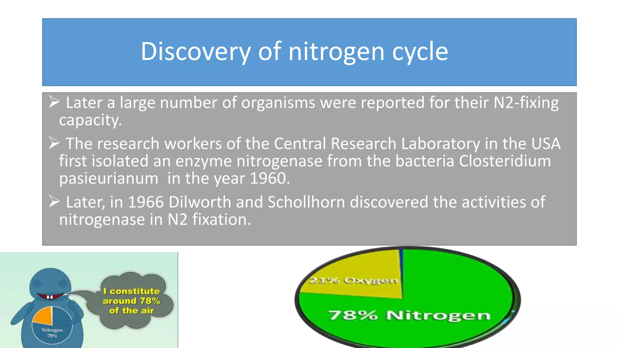 Nitrogen and phosphorous cycle | PPTX