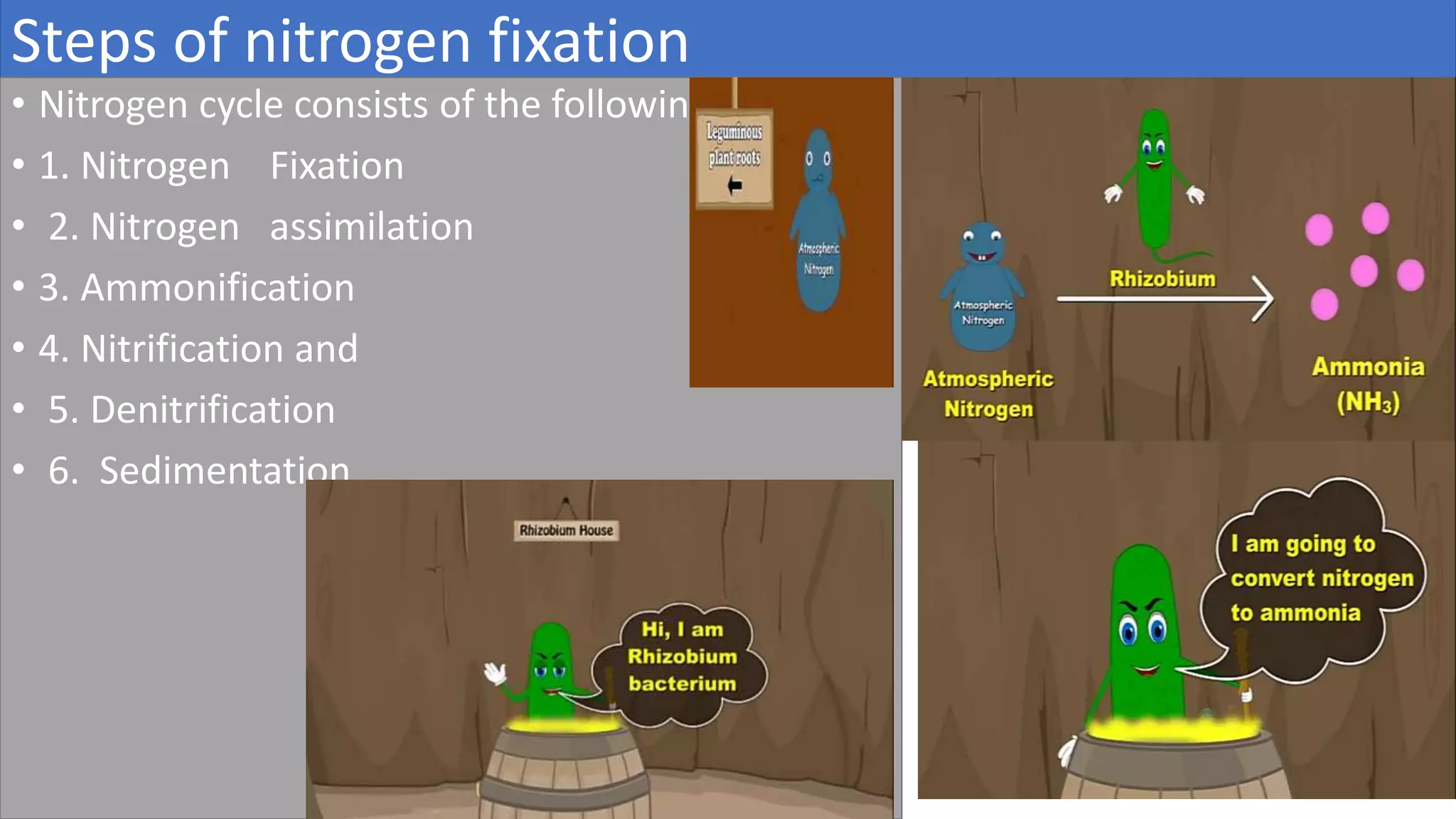 Nitrogen and phosphorous cycle | PPTX