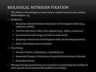 Nitrogen and sulfur cycles | PPT