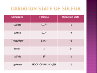 Nitrogen and sulfur metabolism | PPT