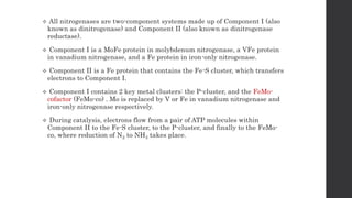 Nitrogenase.pptx