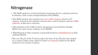 Nitrogenase.pptx