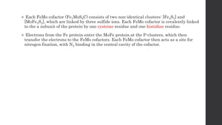 Nitrogenase.pptx