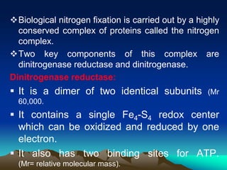 Nitrogenase functioning in biological system | PDF