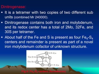 Nitrogenase functioning in biological system | PDF