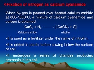 Nitrogenase functioning in biological system | PDF