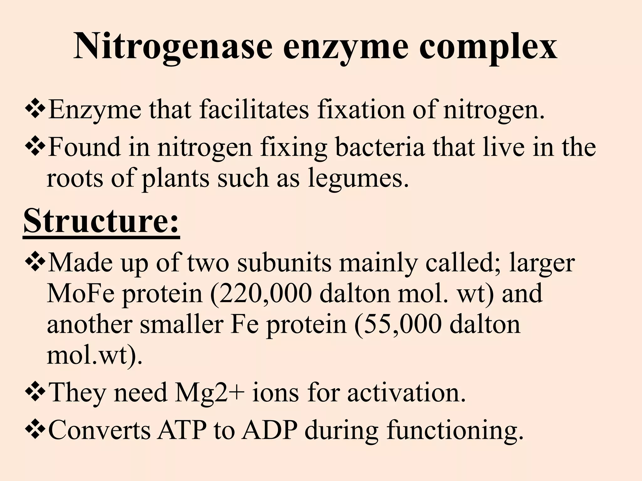 NITROGENASE ENZYME.pptx